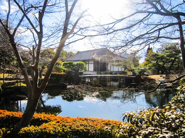 Maximizing Energy Efficiency with Oase Pond Pumps