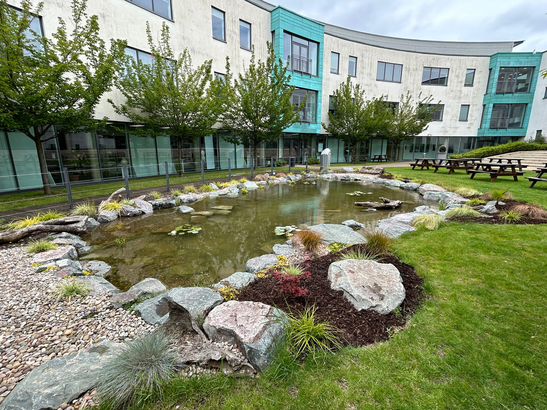 Commercial Ponds & Water Features | Custom Designs & Maintenance ...