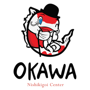 Okawa Nishikigoi Center