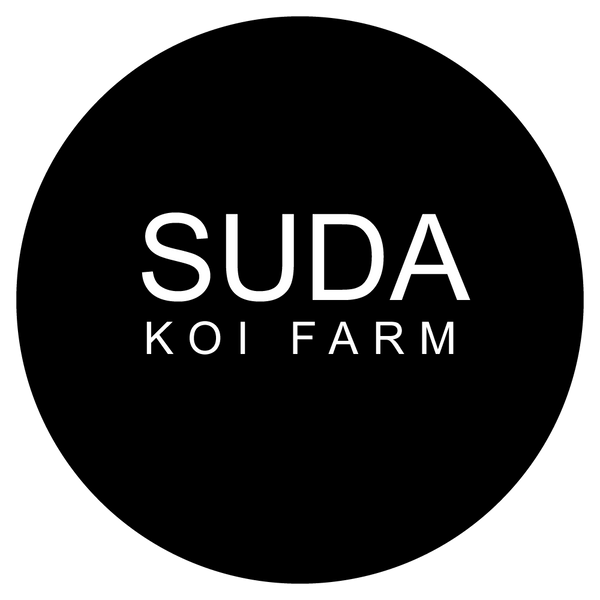 Suda Koi Farm